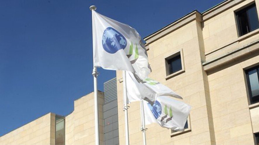 Career Insights from Hyeshin Park at the OECD: Tips from a Gender Programme Co-ordinator